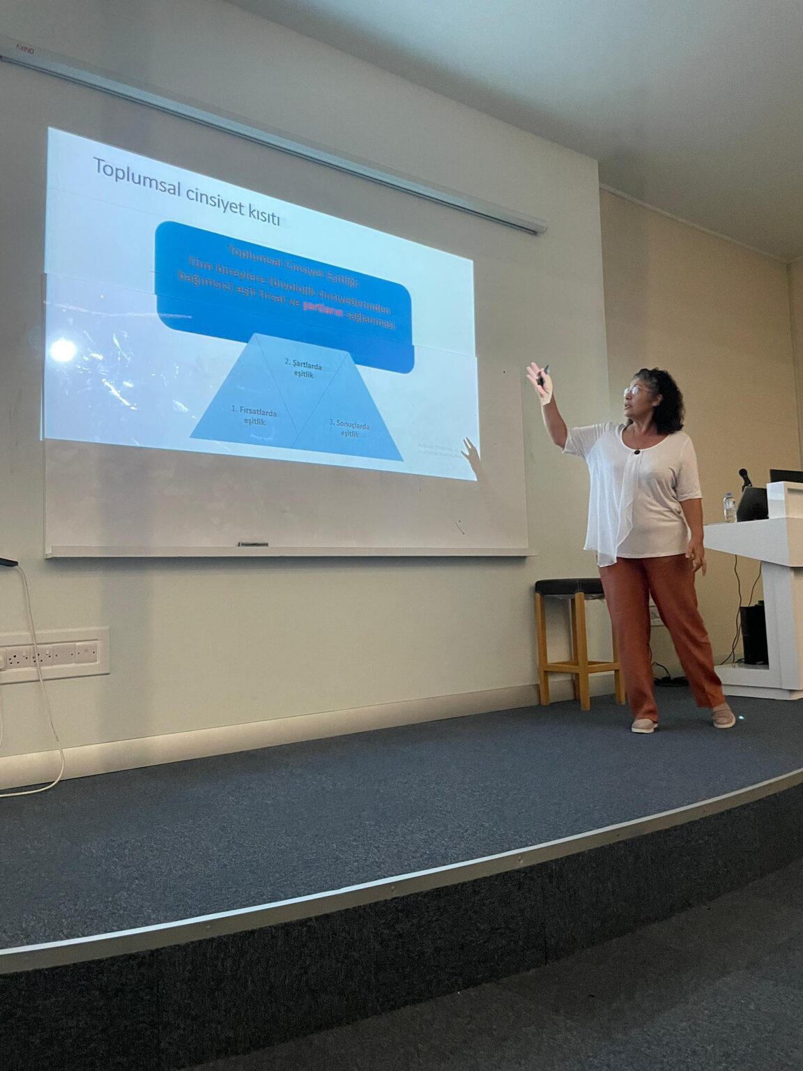 Gender Inequality in TRNC and What Needs to be Done – NEU, Faculty of ...